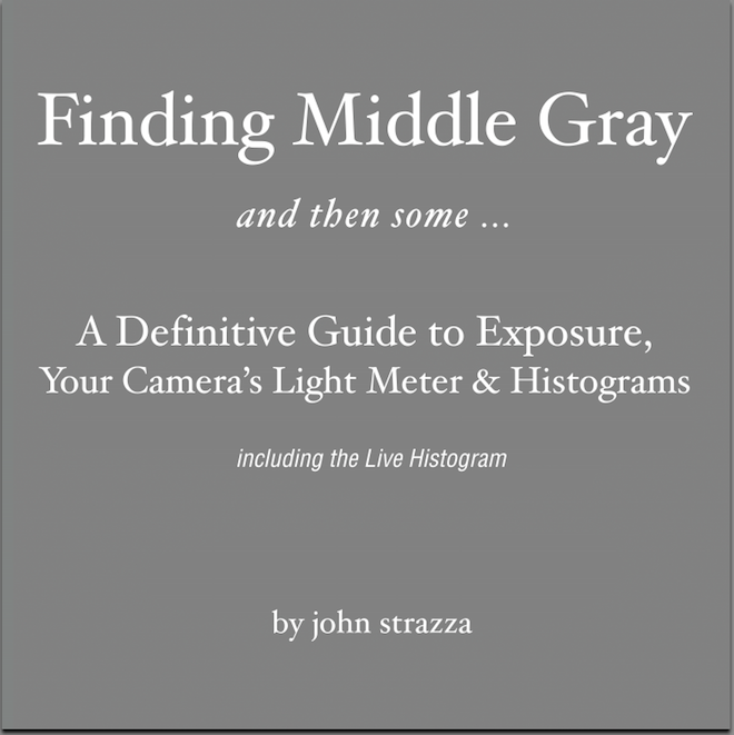 Finding Middle Gray eBook - Payhip