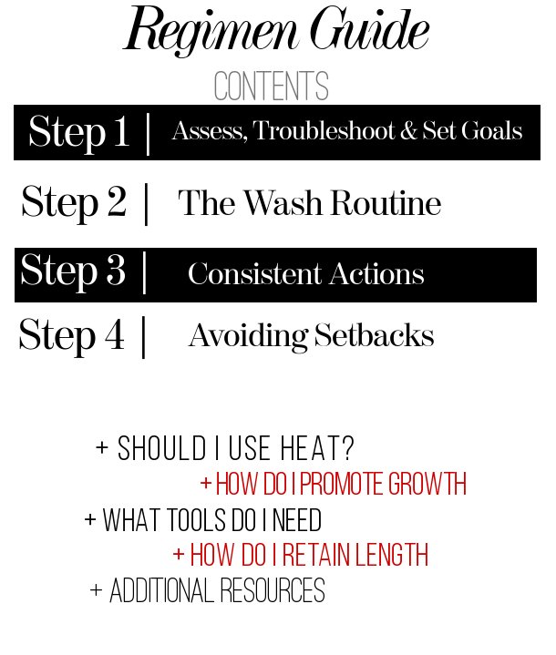 Creating a Regimen 101 - Payhip