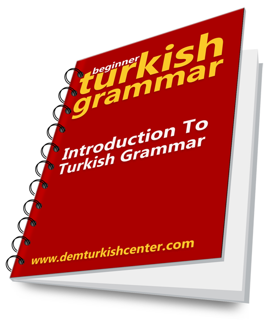 Introduction To Turkish Grammar - Payhip