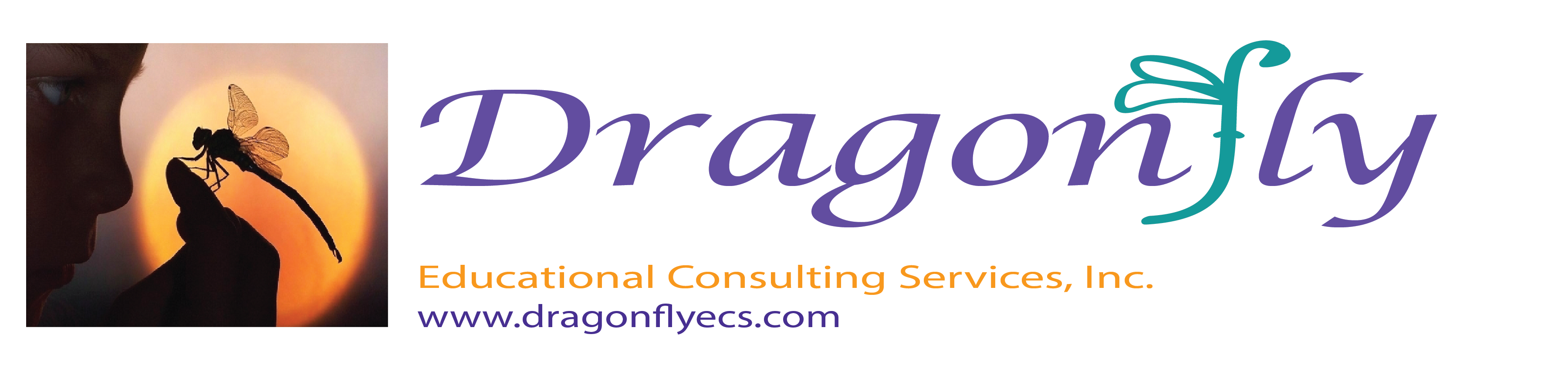 Dragonfly ECS - Payhip