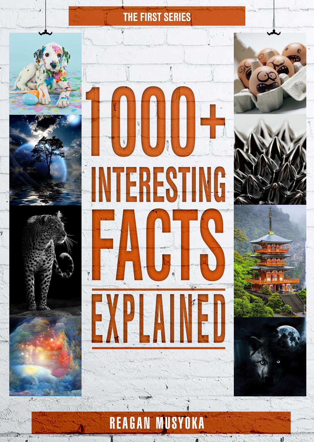 1000+ Interesting Facts Explained - Payhip