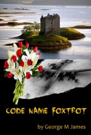 Code Name Foxtrot - Payhip