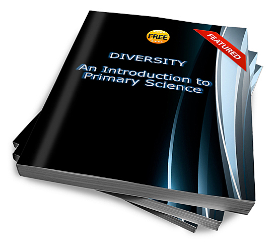 Guide To Primary Science - Payhip