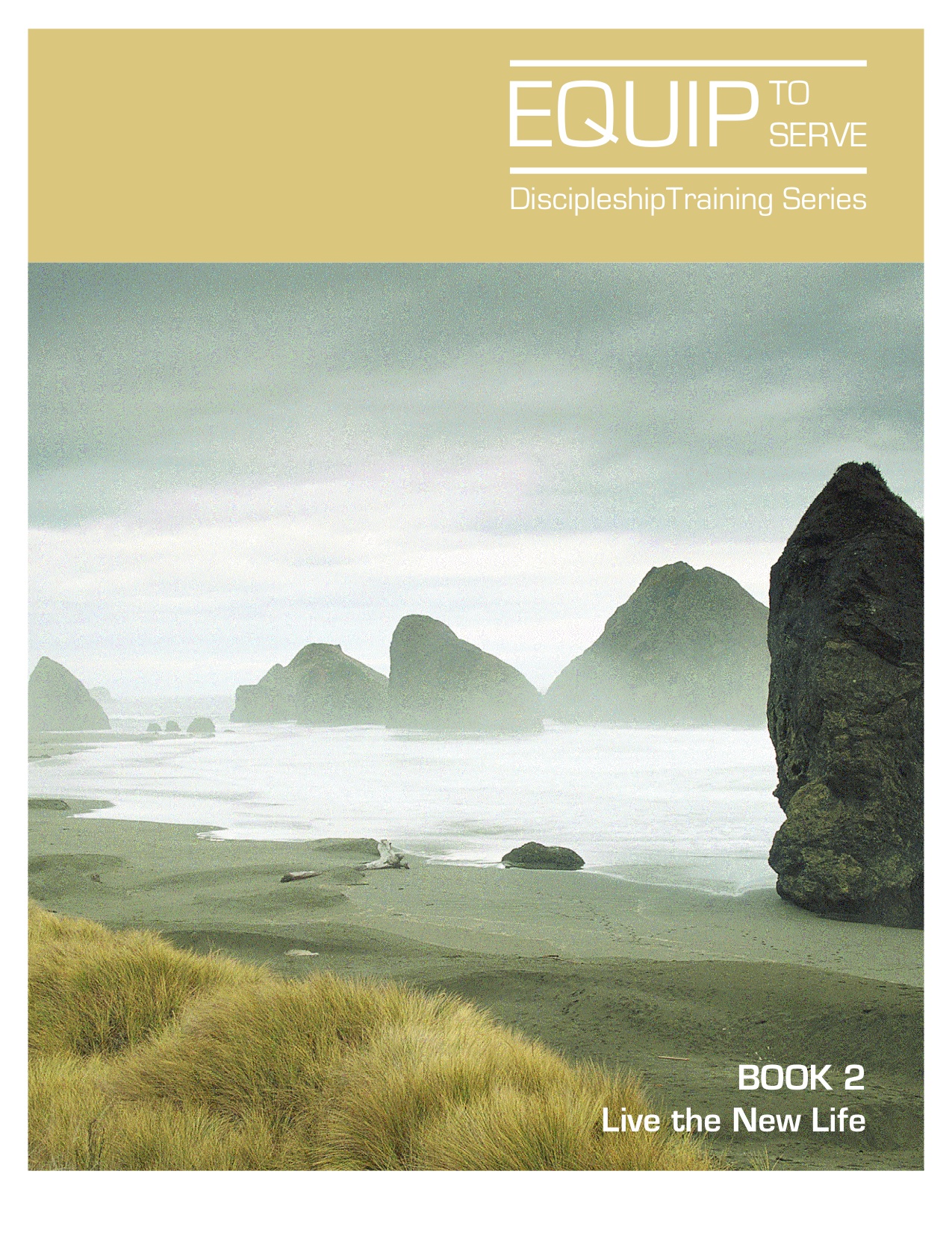 Equip To Serve Book 2 - Live the New Life (PDF fillable file) - Payhip