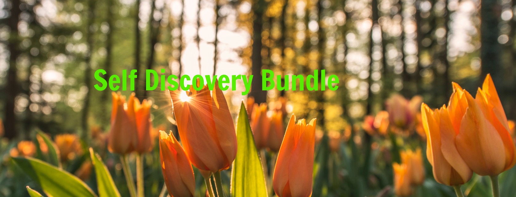 Self Discovery Bundle - Payhip
