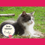 Kiss from Evelyn - Payhip