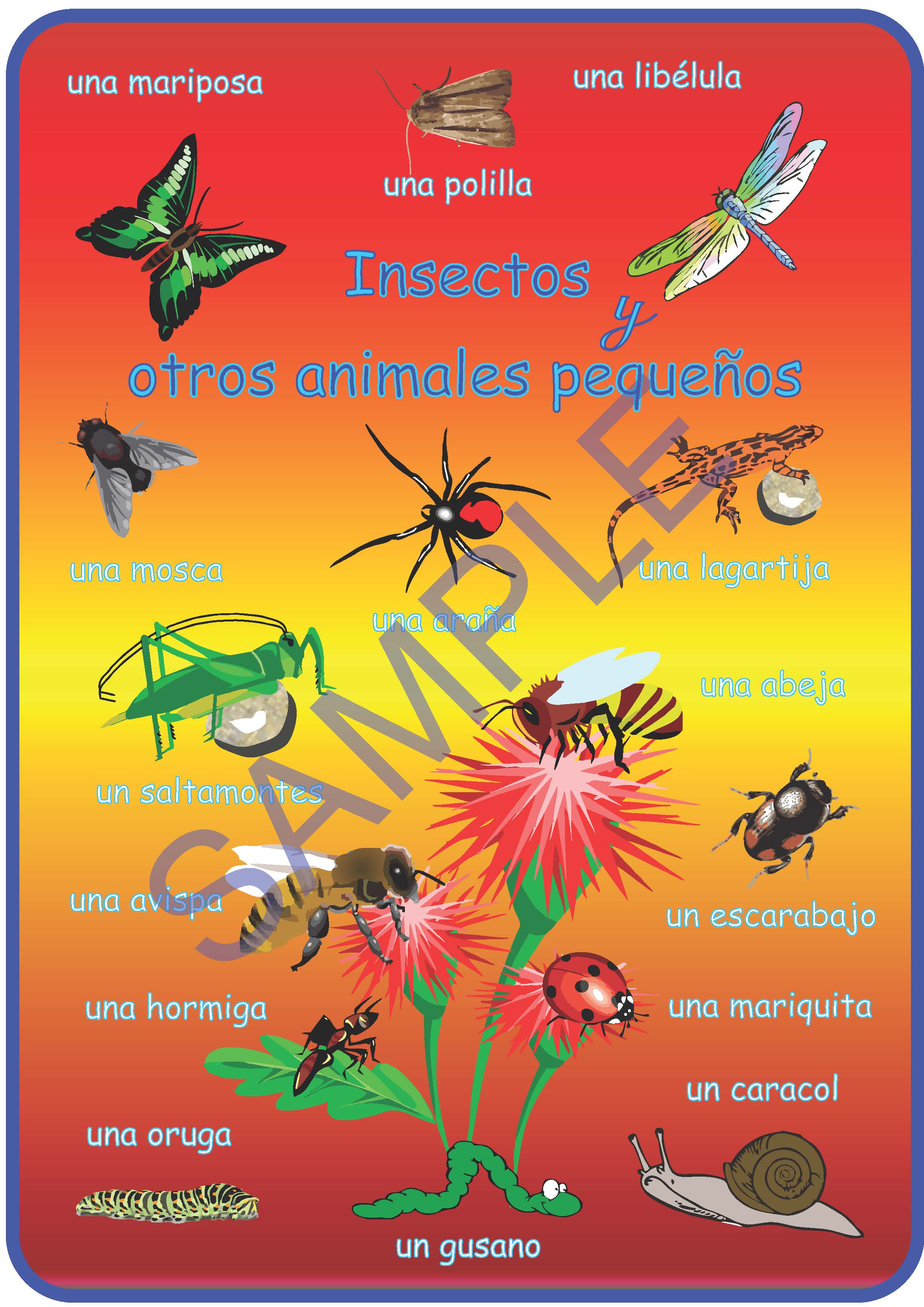 Spanish Minibeasts Poster . A3 - Payhip
