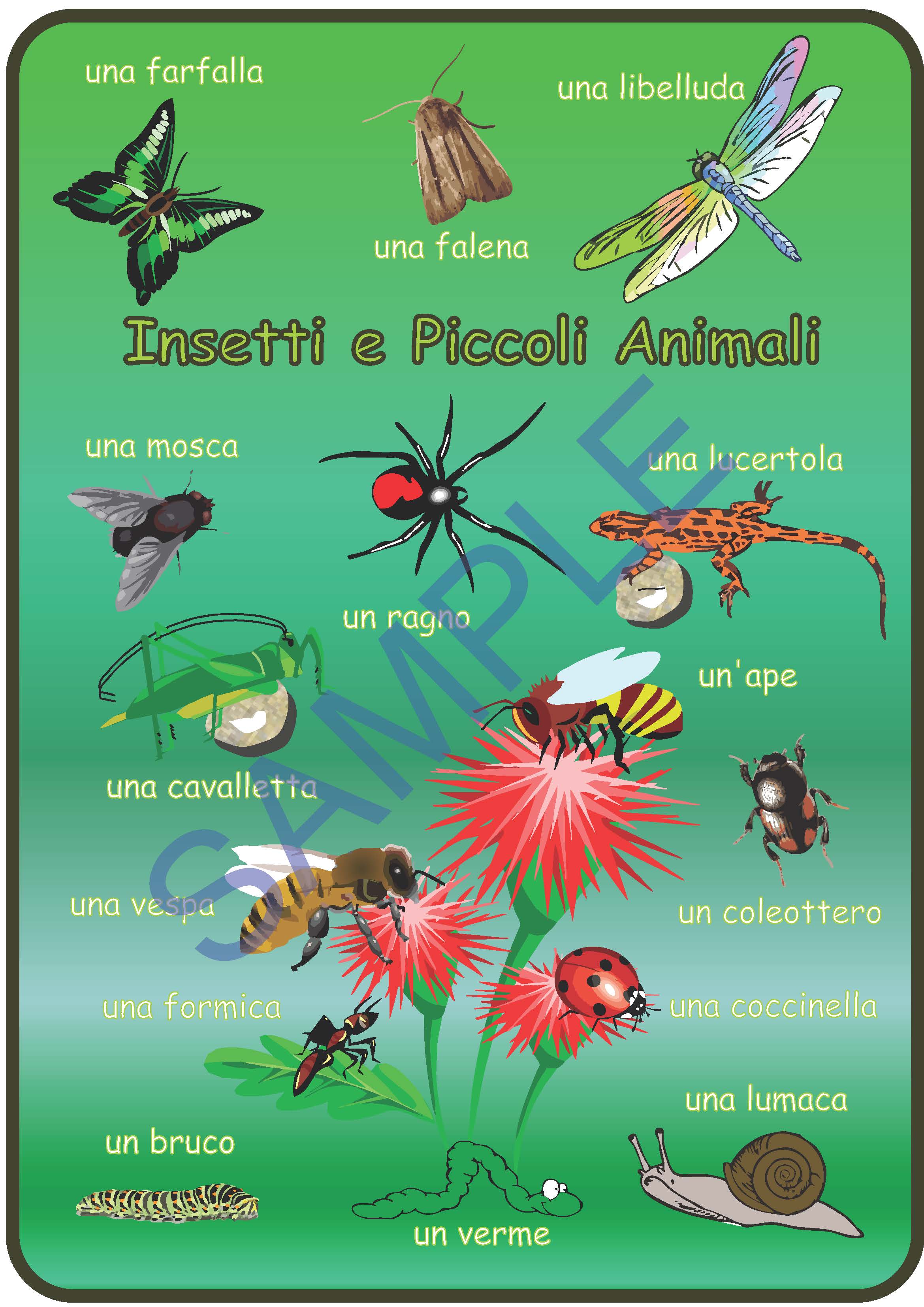 Italian Minibeasts Poster . A3 - Payhip